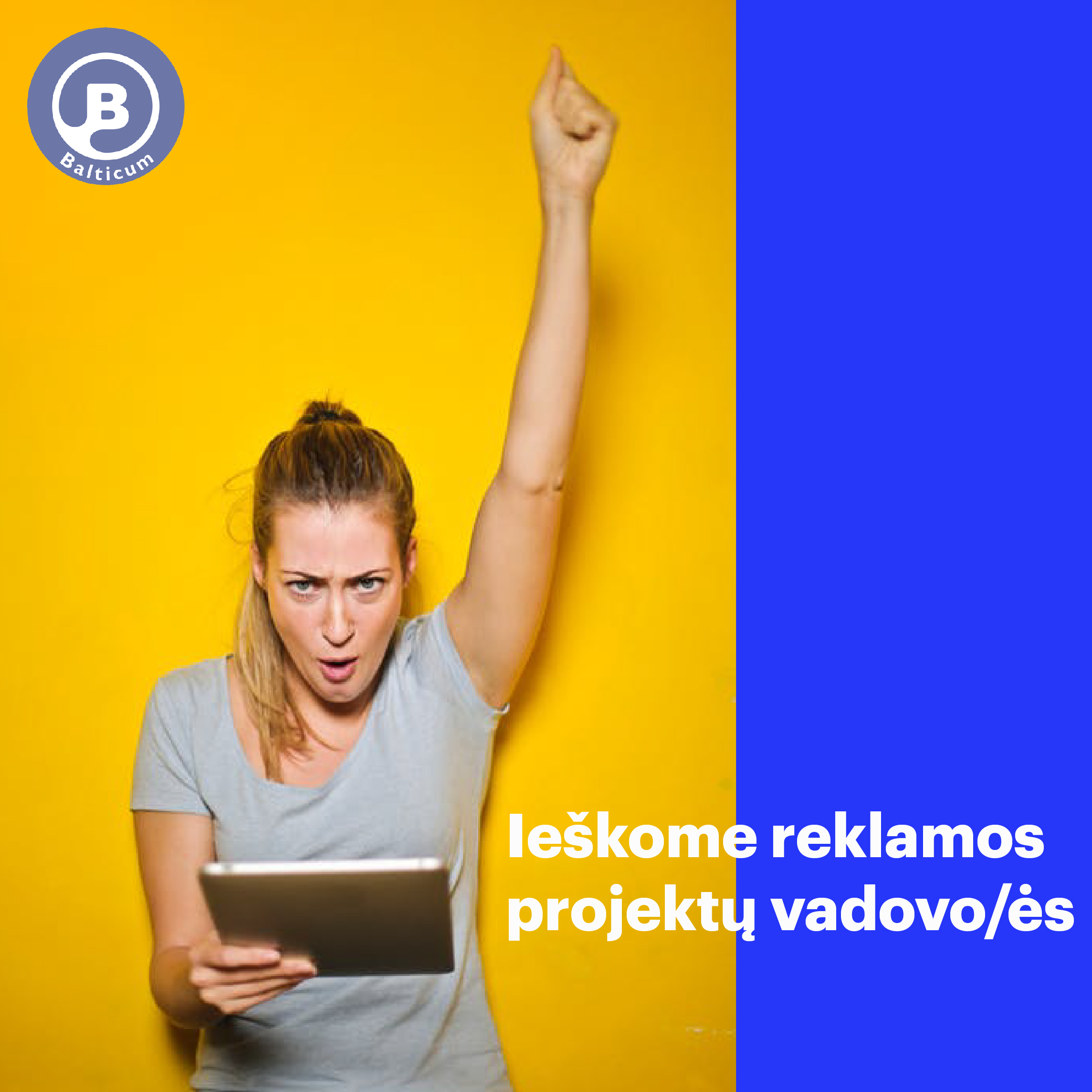 Reklamos pardavimo vadovas